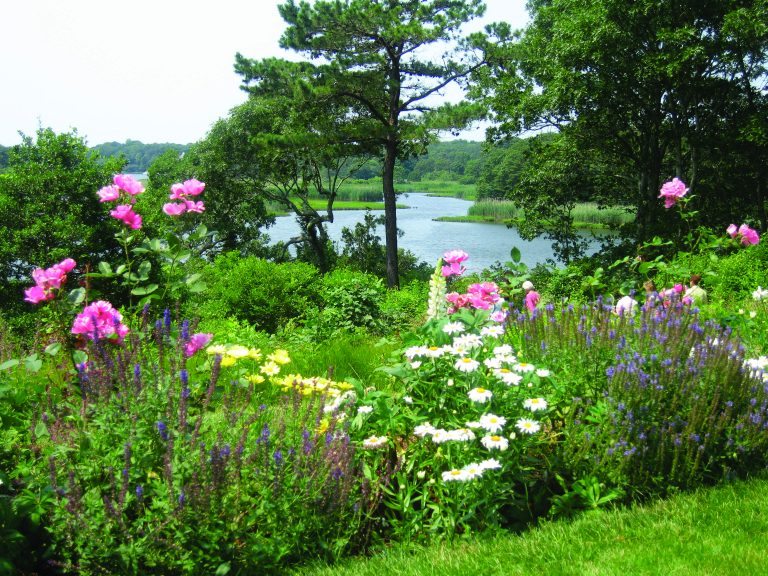 The lasting beauty of perennials | Cape Cod LIFE