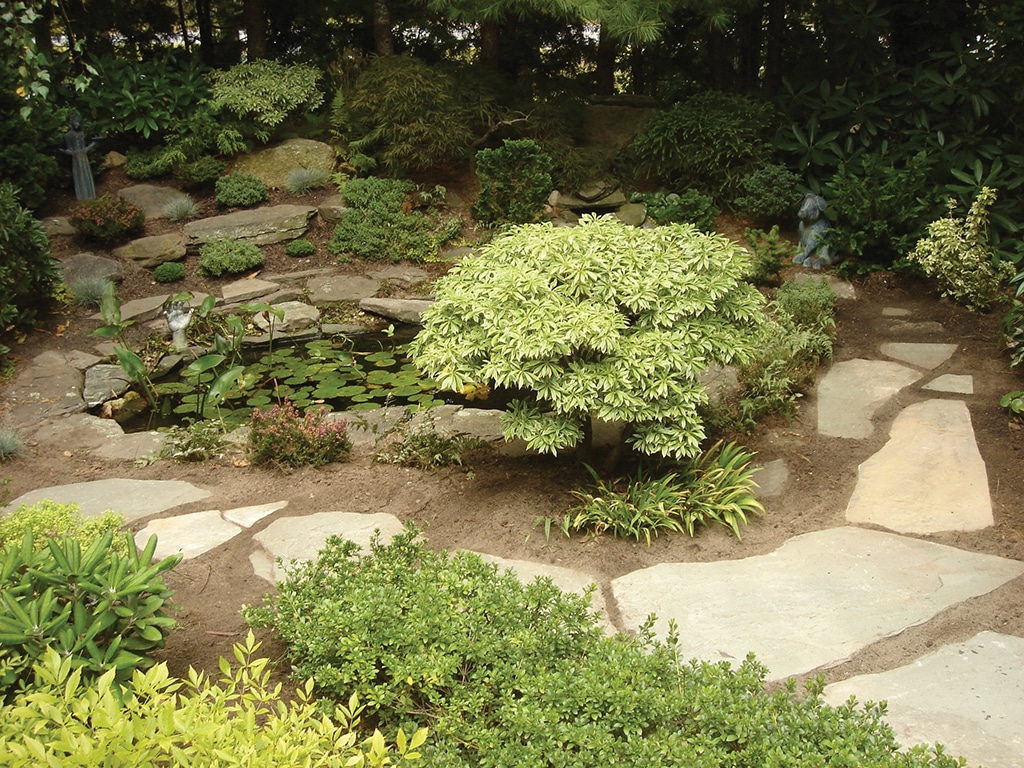 Pond Perspective | Cape Cod LIFE