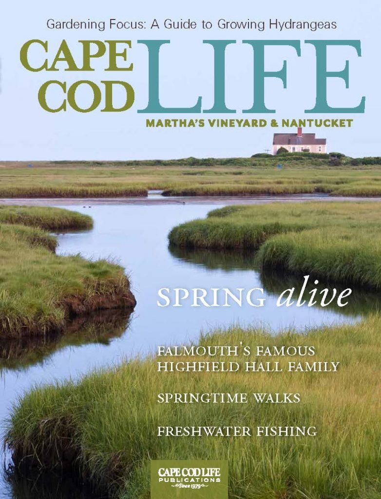 Hydrangea Days | Cape Cod LIFE