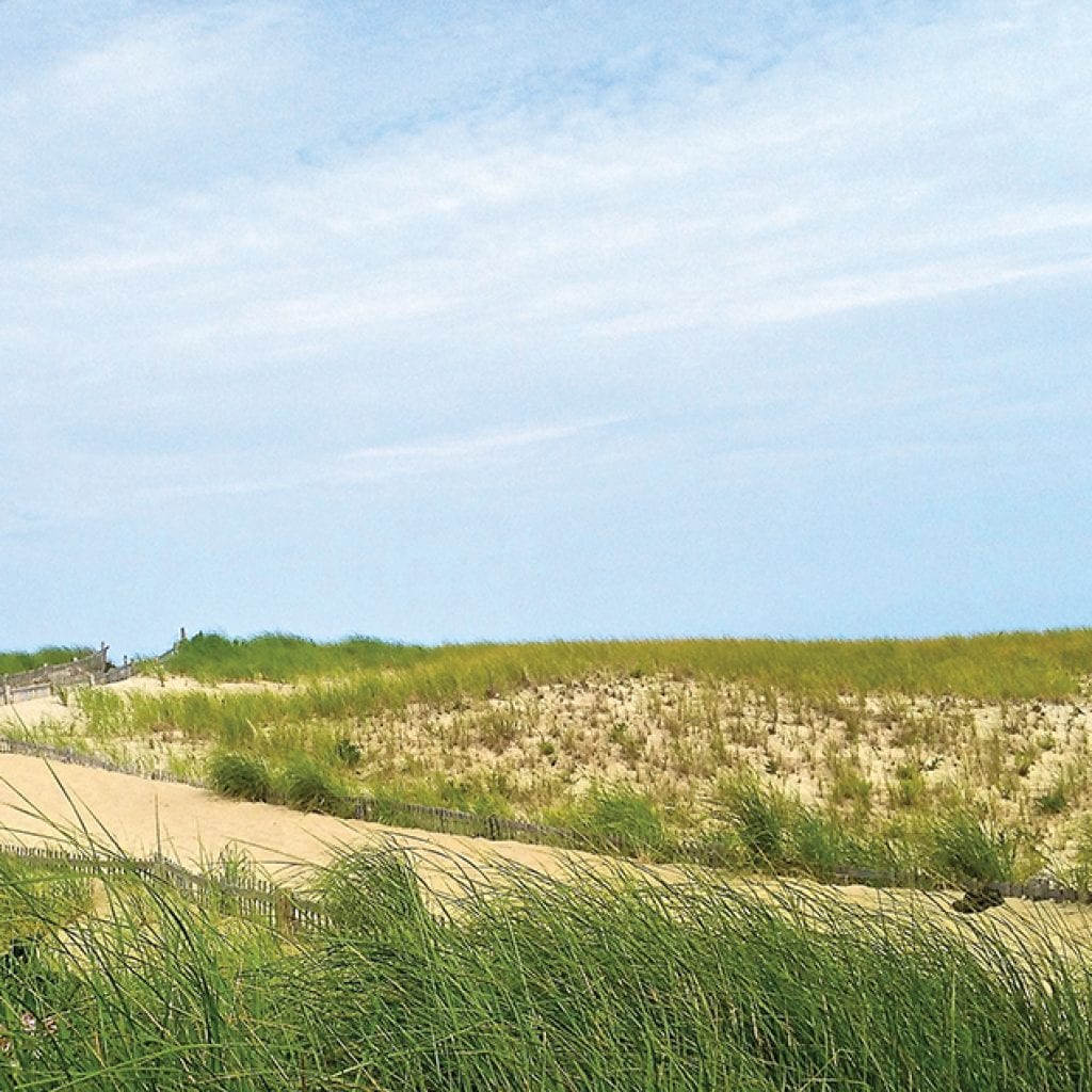 Jennifer Dow | Cape Cod LIFE