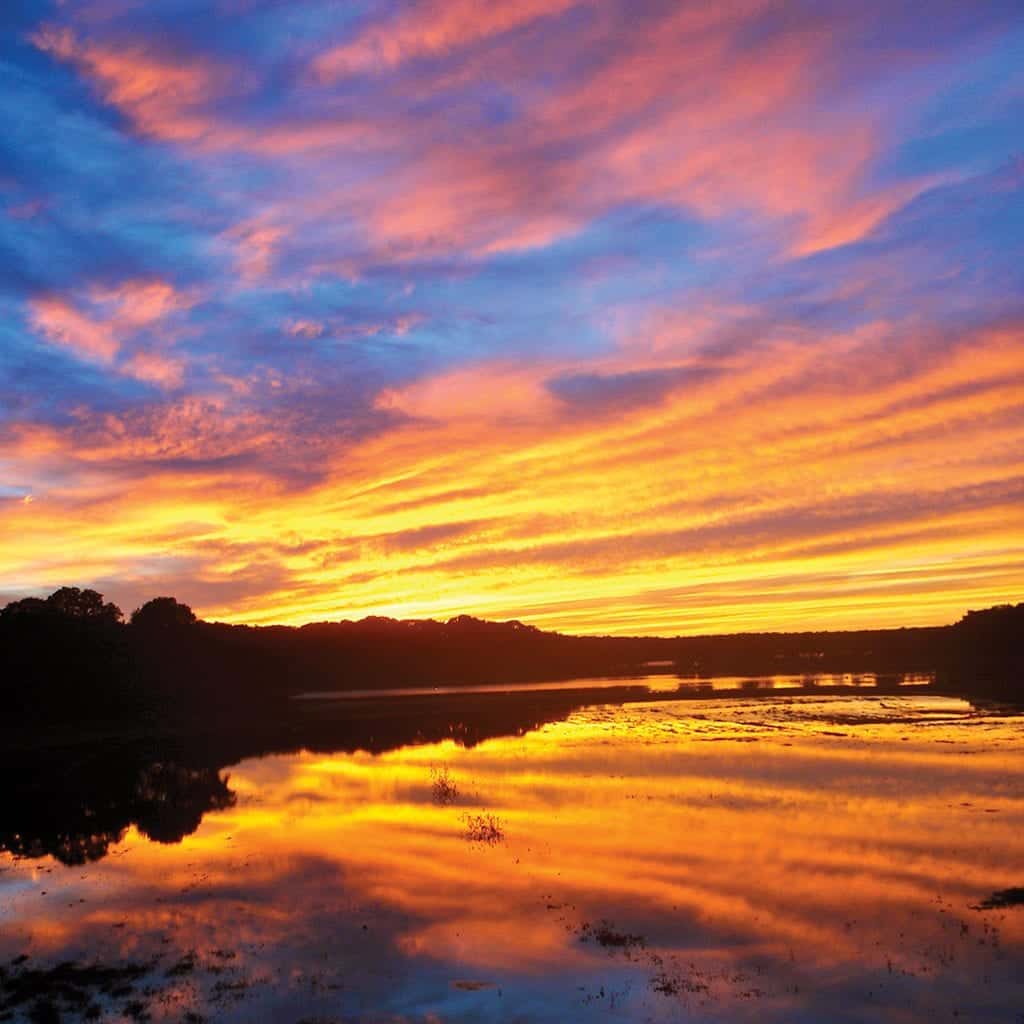 Jean Chisser | Cape Cod LIFE