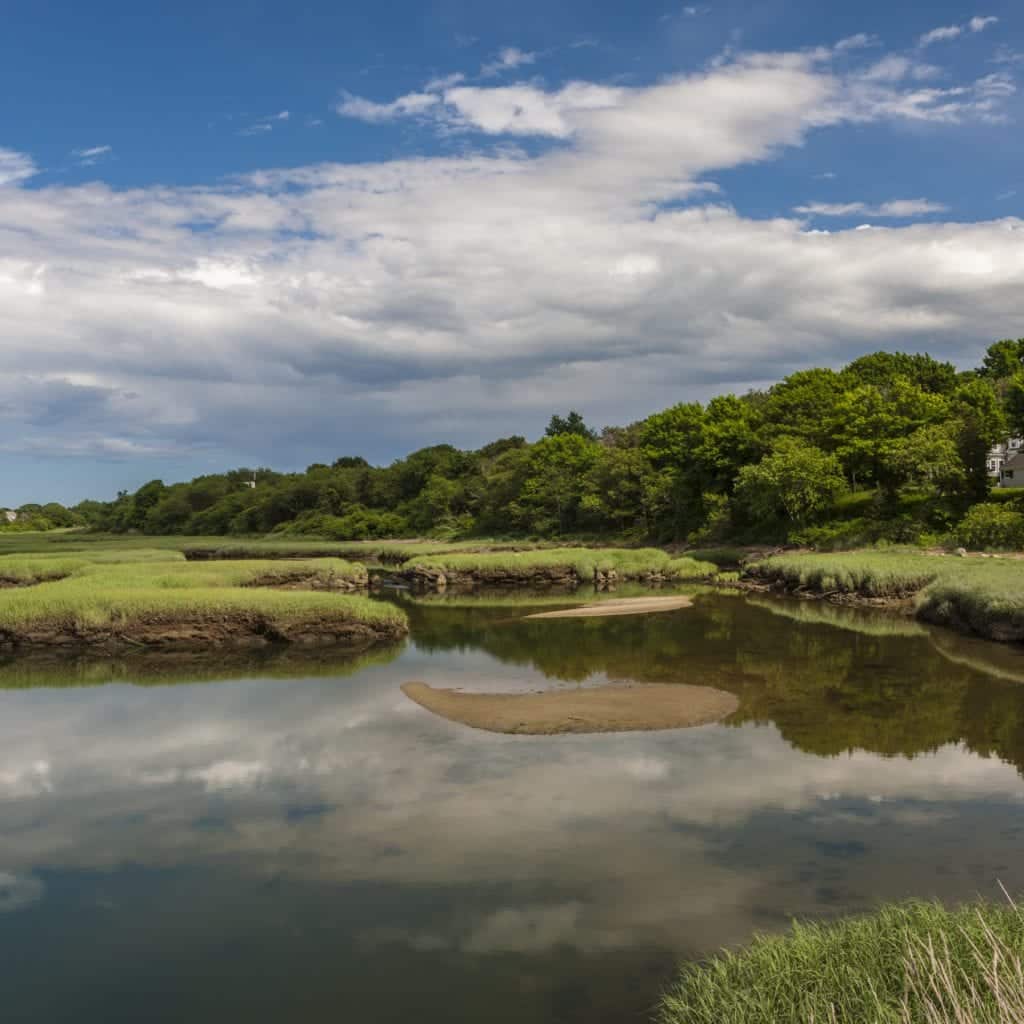 Ronald Wilson | Cape Cod LIFE