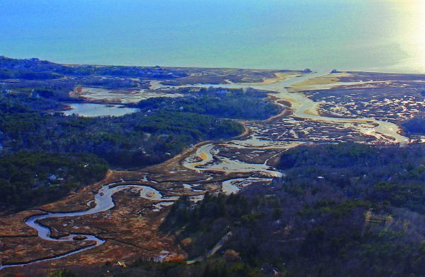 Did you know? – 17 fun trivia items about the Cape