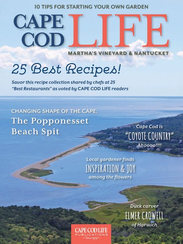 The Changing Shape of the Cape & Islands: An introduc...