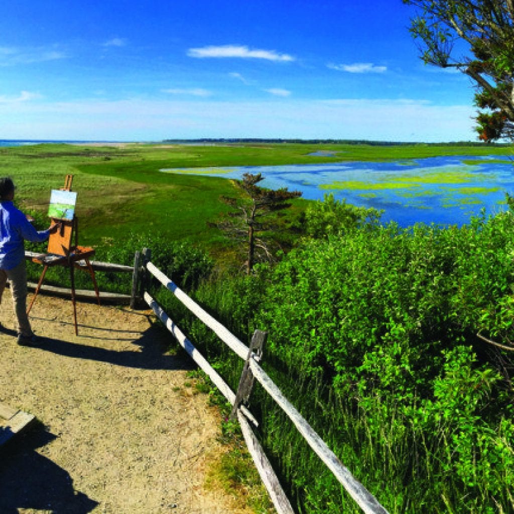 Robert Manz | Cape Cod LIFE