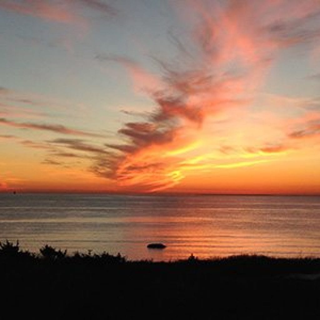 Brian Shortsleeve | Cape Cod LIFE