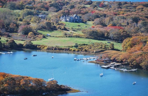 Naushon Island“A noble and primitive wood” | Cape Cod...