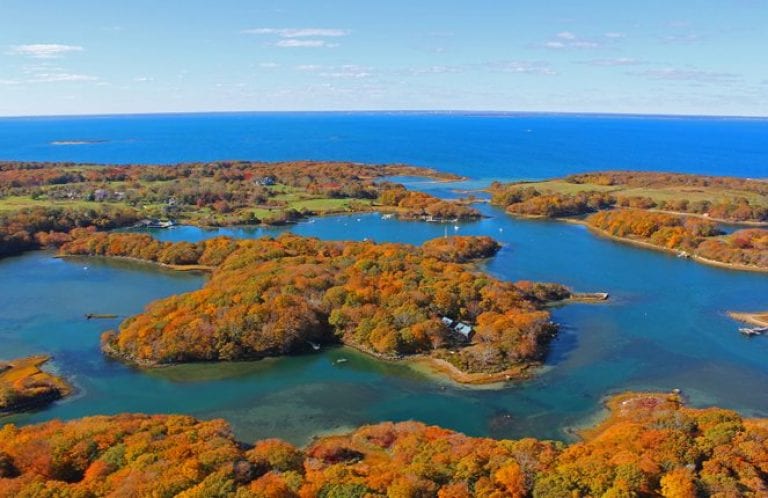 Naushon Island“A noble and primitive wood” | Cape Cod...