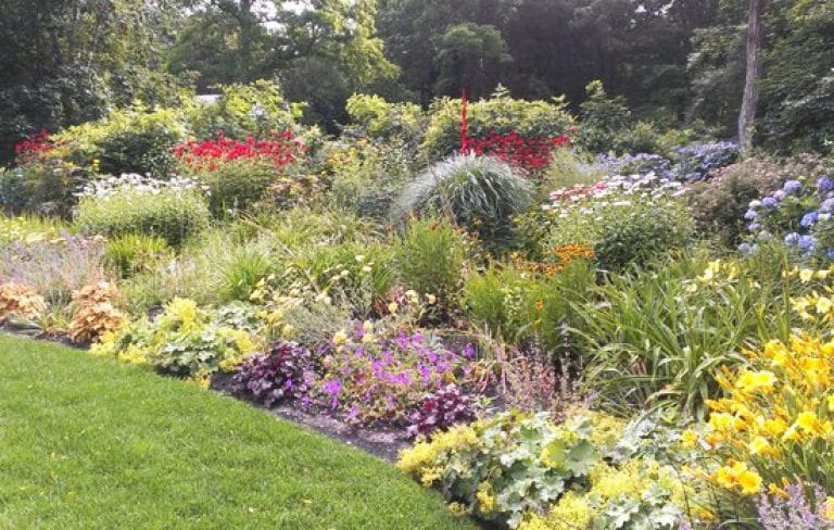 Spring ahead with fall planting | Cape Cod LIFE