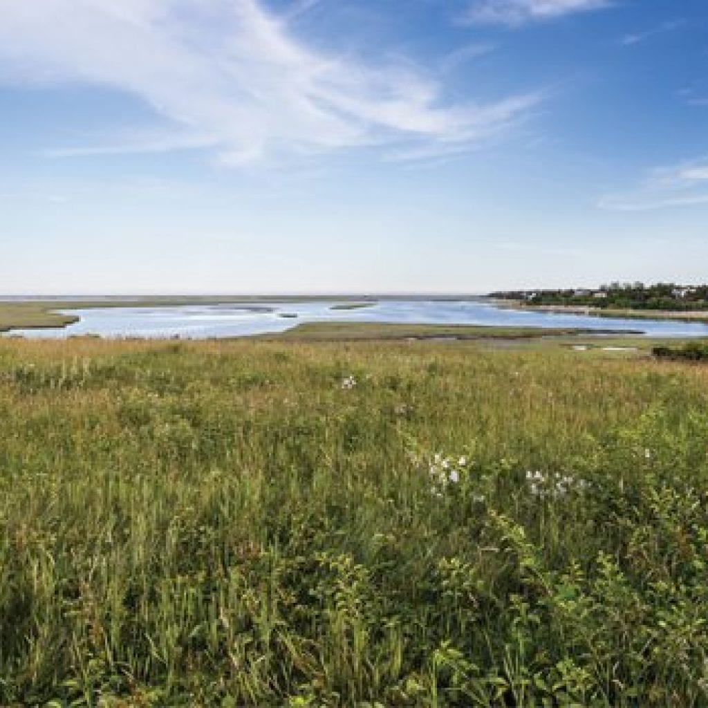 Nancy Bloom | Cape Cod LIFE