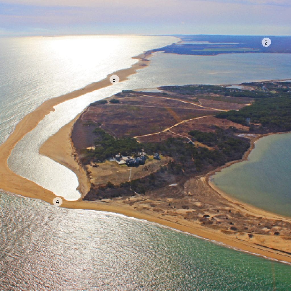 Michael Berwind | Cape Cod LIFE