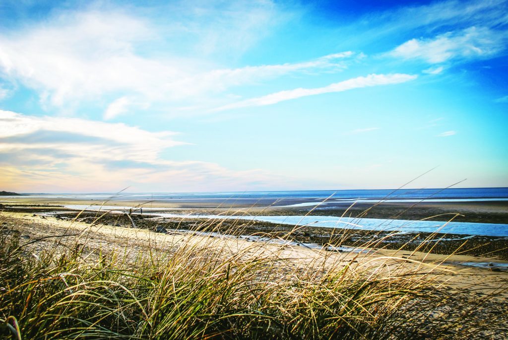 Shore Line Walks | Cape Cod LIFE