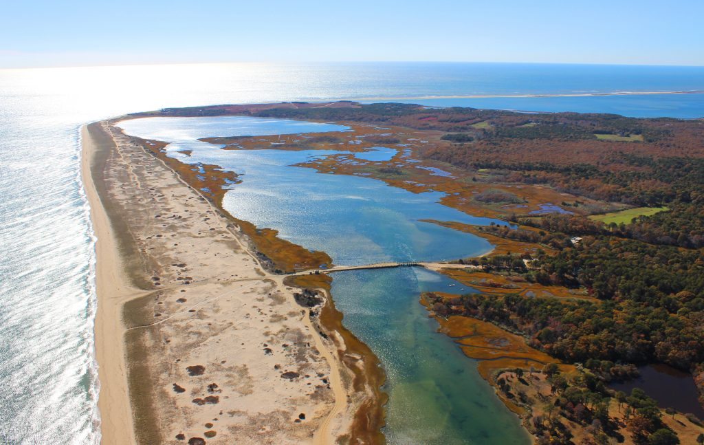 Shore Line Walks | Cape Cod LIFE
