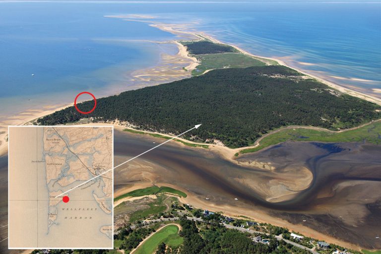 Whalers once headed to Smith's Tavern in Wellfleet for fo...