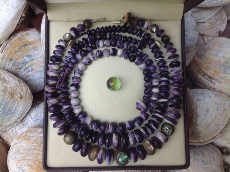 This shell has always generated interest: History of wamp...