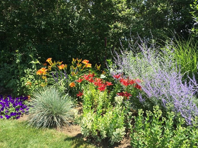Cape Cod's gorgeous gardens | Cape Cod LIFE