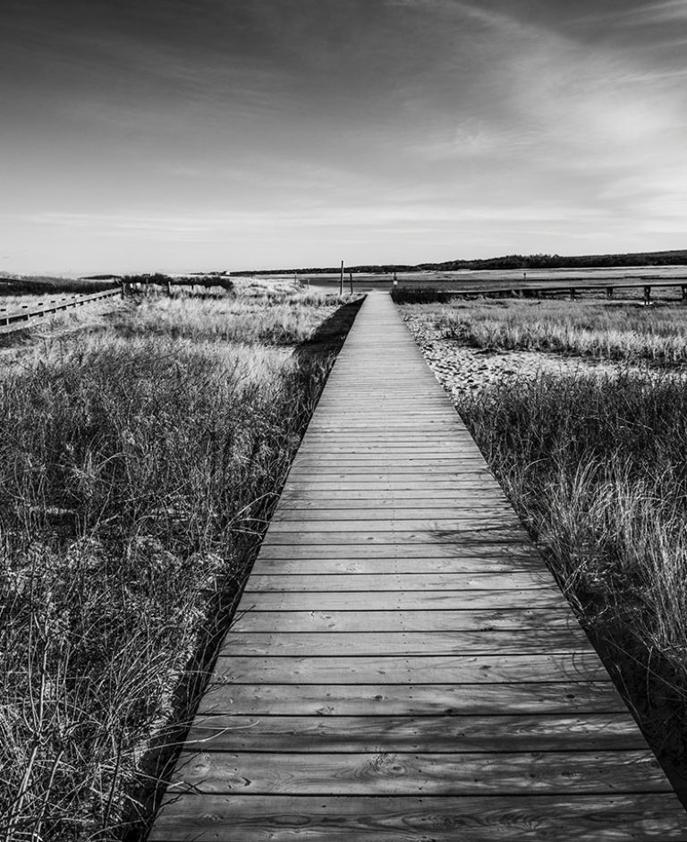 LIFE's Canvas: Bobby Baker's art is a monochromatic symph...