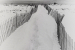 LIFE's Canvas: Bobby Baker's art is a monochromatic symph...