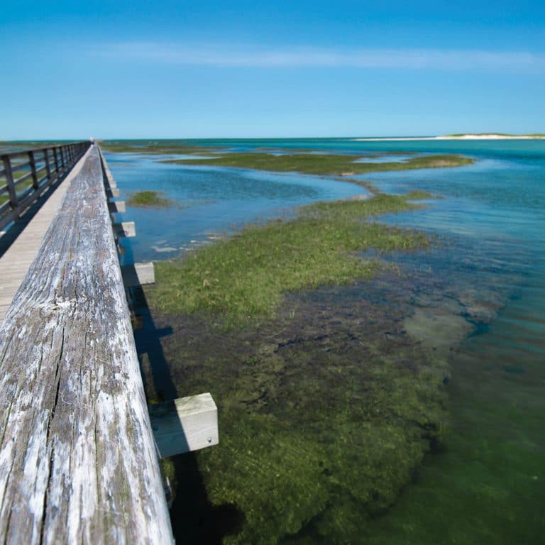 Kirsten Doherty | Cape Cod LIFE