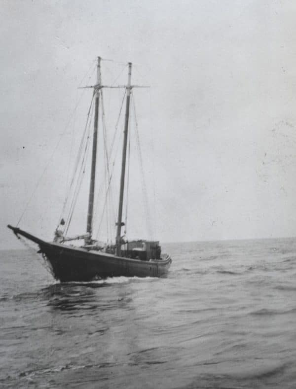 Cape Cod Rum Runners | Page 5 of 6 | Cape Cod LIFE rum ru...