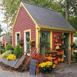 Best Shopping Cape Cod & the Islands • Reader's Choices...