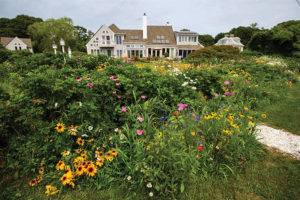 Check out this colorful Cape Cod wildflower garden
