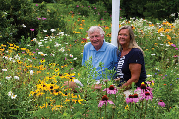 Check out this colorful Cape Cod wildflower garden