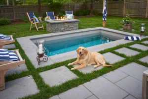 Soake Pools transforms a backyard space with a striking p...