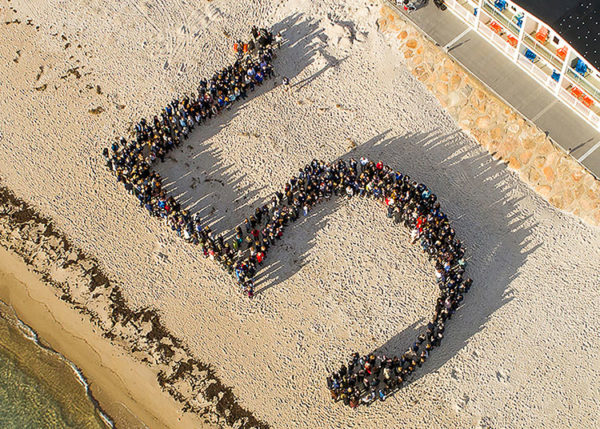 Focus: Cape Cod 5 | Cape Cod LIFE