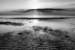 Artist Profile: Bobby Baker | Cape Cod LIFE