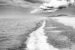 Artist Profile: Bobby Baker | Cape Cod LIFE