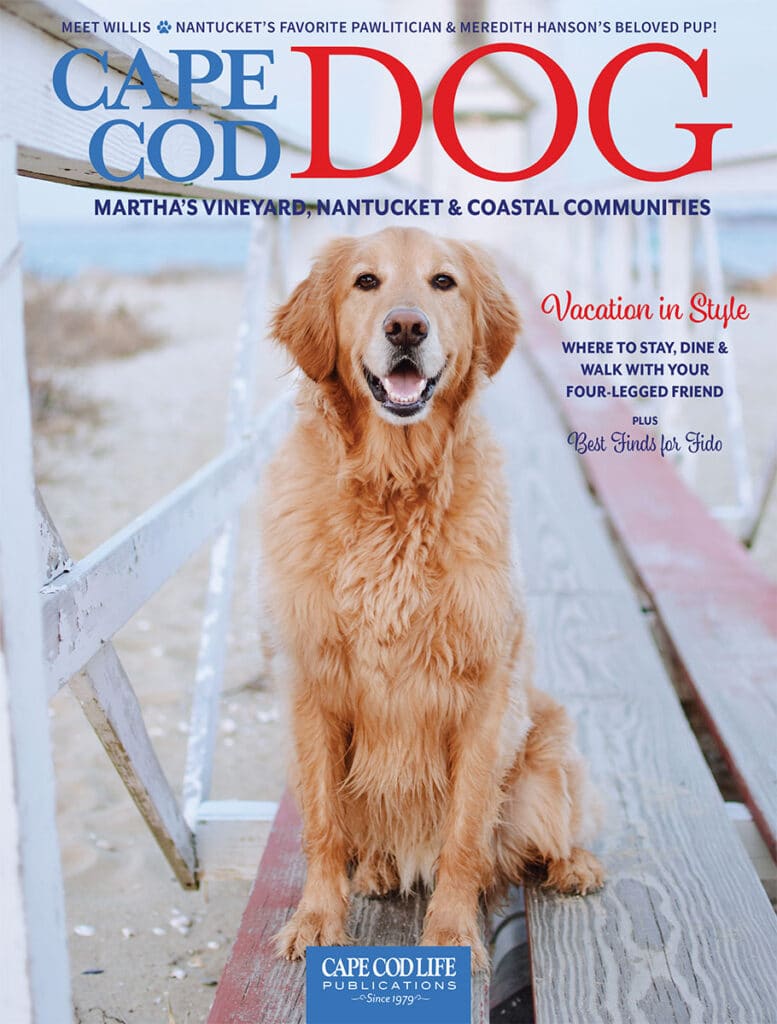 Cape Cod DOG | Cape Cod LIFE